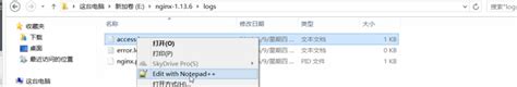 网站流量日志分析— —数据采集—使用 Web 服务器自带日志记录采集学习笔记 阿里云开发者社区