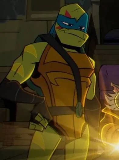 Leonardo Hamato Rottmnt 40 Follower Special