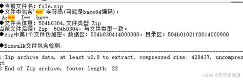 ctf misc 赛博朋克 随波逐流ctf csdn博客