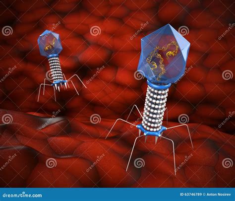 Bacteriophage Stock Illustration Illustration Of Infect 63746789