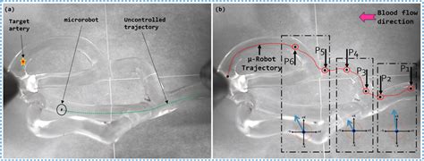 Magnetic Guidance Result Of A Soft Ferromagnetic Microrobot In A 3d Download Scientific Diagram