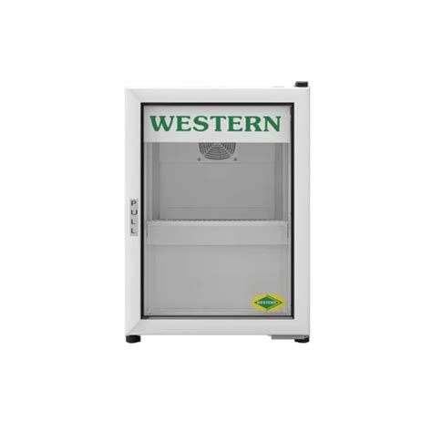 Western Src 60 Visi Cooler 59 L At Best Price In Pune Id 2854470062562