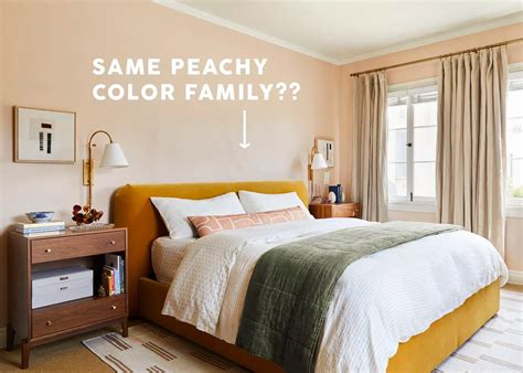 Pantone 2024 Color Of The Year Reactions