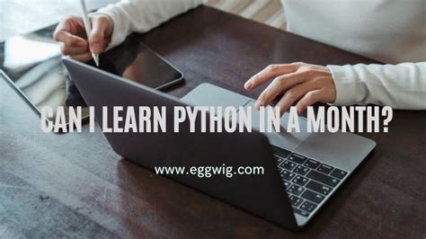 Eggwig Articles 📅 Can You Learn Python In A Month Lets
