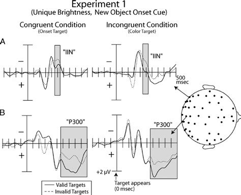 Erps To The Target Stimuli From Experiment 1 A Data Are Collapsed
