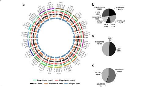 Snp Distributions Across The Soybean Genome V2 And Snp Effects Within