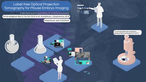 Label Free Optical Projection Tomography For Mouse Embryo Imaging By