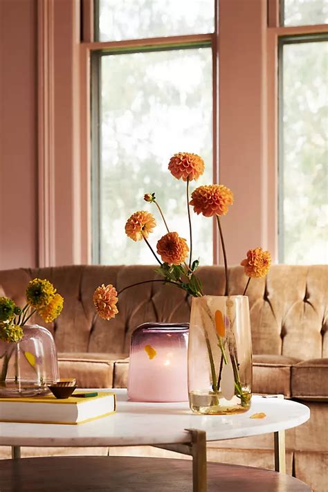 Lullia Hurricane Anthroliving