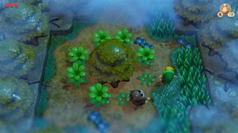 Zelda Links Awakening How To Get Past Raccoon In Mysterious Forest