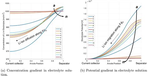 Concentration And Potential Gradients In The Electrolyte Solution