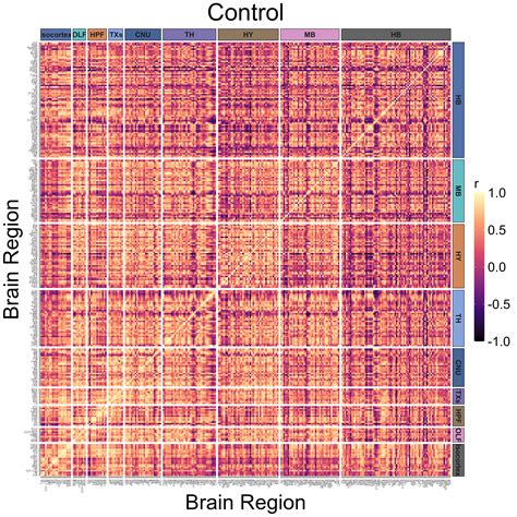 5 Importing External Datasets • Smarttr