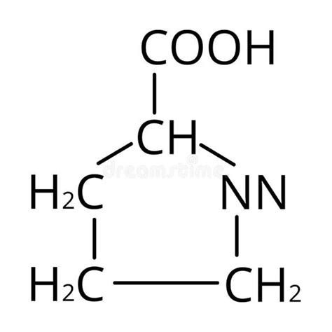 Aminoácido Prolina Fórmula Química Molecular Prolina Aminoácido