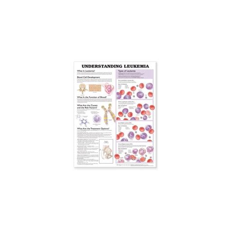 Understanding Leukemia Anatomical Chart