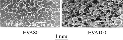 Sem Micrographs Of The Foams Cross Sections In The Md Direction