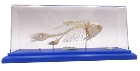 Matematica Categorii De Produse Material Didactic