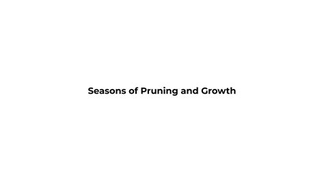 Seasons Of Pruning And Growth