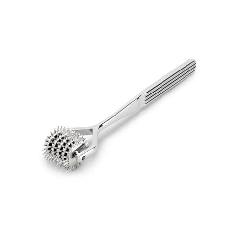 Wartenberg Pinwheel 5 Wheel Sex Toy Accessories B Vibe