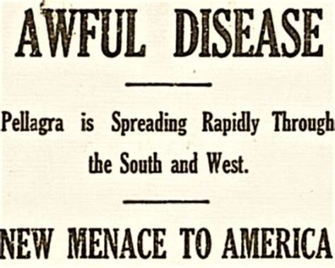 Southern History Series Pellagra Occidental Dissent