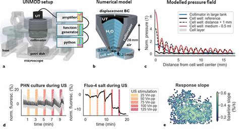 Characterization Of Ultrasound Neuromodulation Using An In Vitro Neuroglial Model Brain