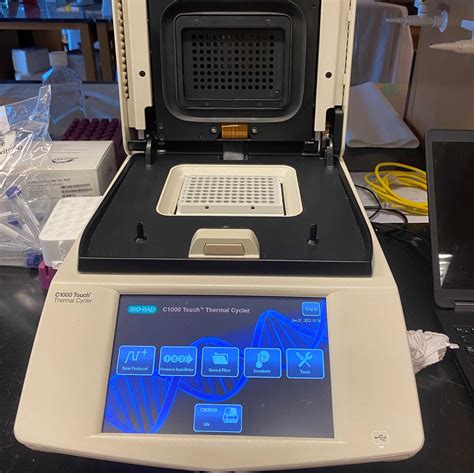 Singleplex Qpcr For Sars Cov 2 N1 And Brsv
