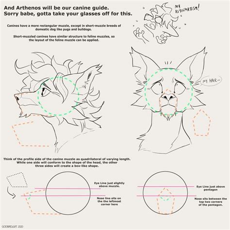 Уроки Рисования Пост со стены Cat Drawing Tutorial Furry Drawing