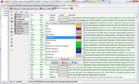 Logplot Data Editor Rockware