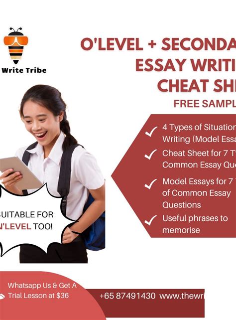 Olevel And Sec Essay Writing Cheat Sheet Thewritetribesingapo