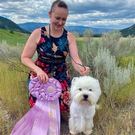 Fun Windacre Kennels Puppies Award Winning Pedigrees