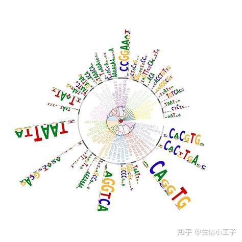 Motifstack 绘制motif序列结构图 知乎