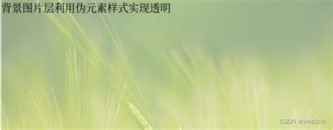 css实现背景图片透明文字不透明效果的两种方法 css背景透明度不影响文字 csdn博客