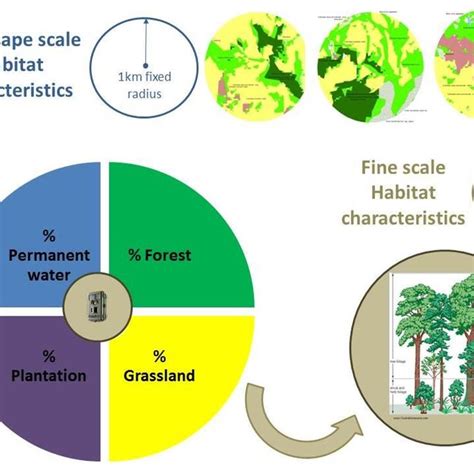Examples Of Associated Data For Analysis In Conjunction With Camera