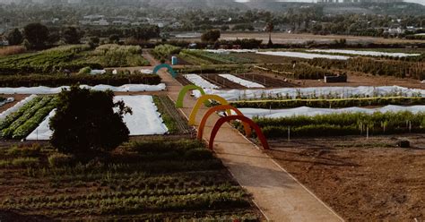 Green Feast Test Dec 31 1969