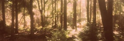 22 Notion Banners Ideas To Save Today Header Pictures Cute Headers