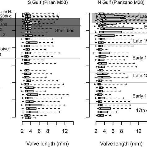 Boxplots Summarizing Median Size And Size Maxima In 2 Cm Thick Upper