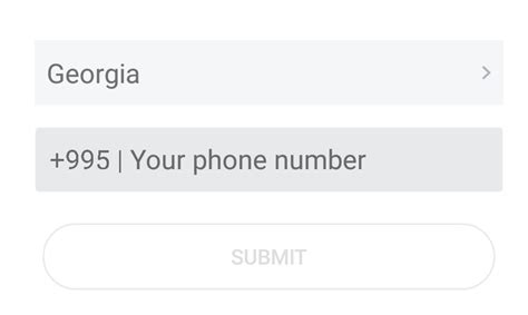 User Interface How To Add A Visual Prefix To An Entry In Xamarin