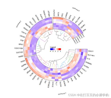 R语言 Circos热图 如何用r语言做热图huangliang的技术博客51cto博客