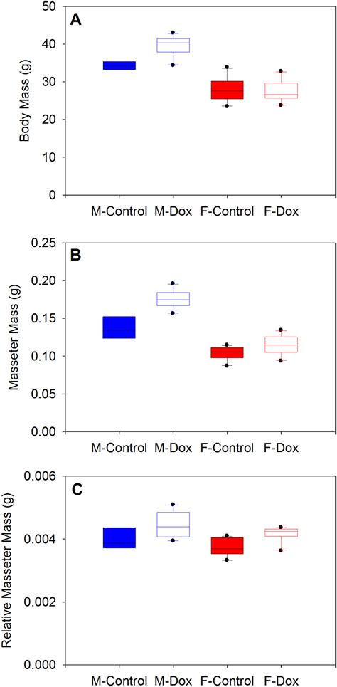 Body Mass A Masseter Mass B And Relative Masseter Mass C I E Download Scientific