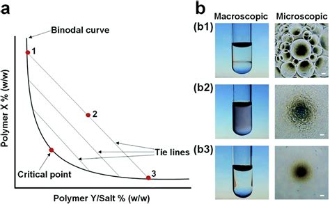 Emerging Aqueous Two Phase Systems From Fundamentals Of Interfaces To Biomedical Applications