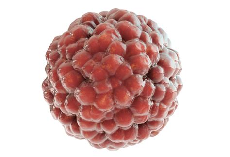 흰색 배경 3d 렌더링에 빨간색 해로운 바이러스 셀 0명에 대한 스톡 사진 및 기타 이미지 0명 3차원 형태 건강관리와