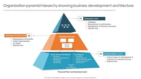 Organization Pyramid Hierarchy Showing Business Development