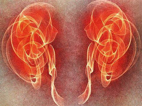 Nephrectomy Definition Purpose And Types