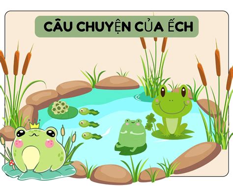 Truyện Tranh Câu Chuyện Của ếch Truyện Trẻ Em