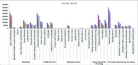A Statistical Diagram Of Cog Functional Classification B Kegg Download Scientific Diagram