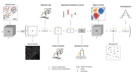 Moritz Gerstung On Twitter Jessica Svedlund Developed A Base Specific Extension Of The In Situ