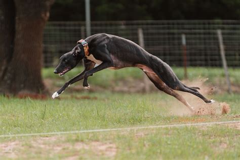 Blue Ridge Prairie Photography