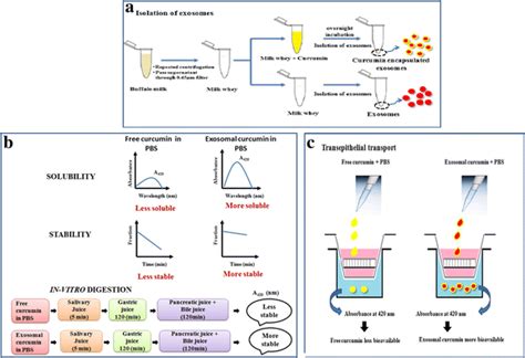 Schematic Representation Of The Methodology And Concept Representing A Download Scientific