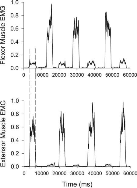 Muscle Coactivation A Generalized Or Localized Motor Control Strategy