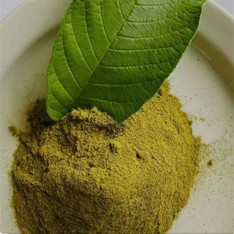 Brown Guava Leaf Extract Powder Hdpe Drum Packaging Size 25 Kg At Rs