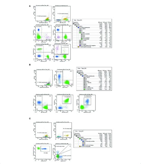 Cerebrospinal Fluid Csf Flow Cytometry Characterization In A Case
