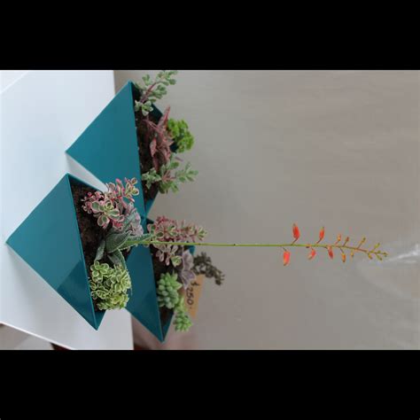 Kali Schultz 255079 Columbus Arts Fest